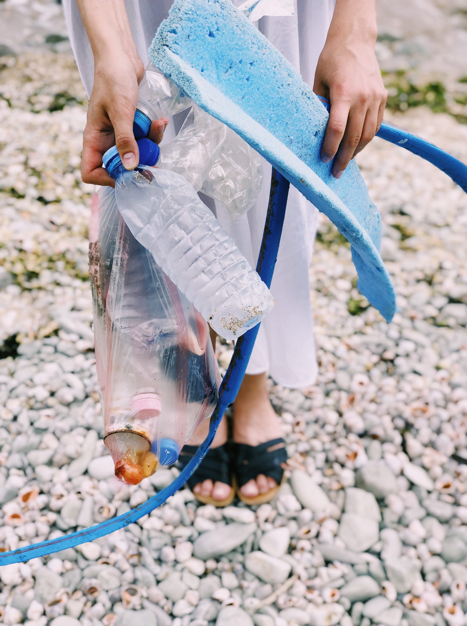 What are microplastic's and why are they such a problem? - Sheevolves.world