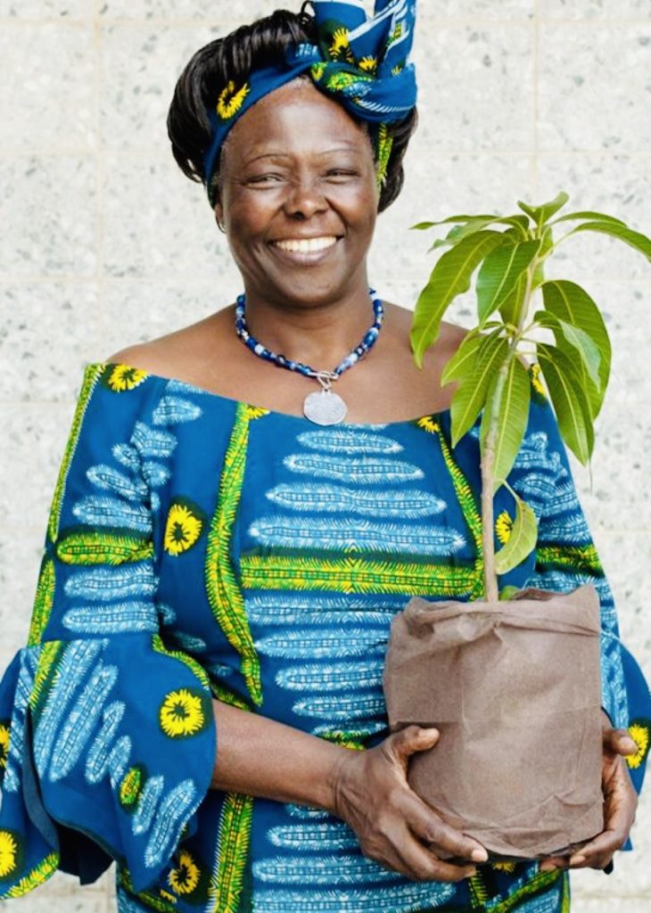 The African woman whose legacy has changed my life: Wangari Maathai ...