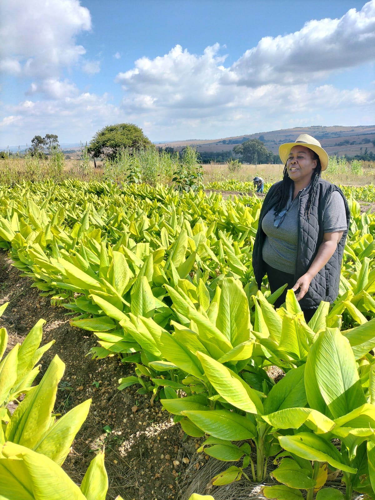 Siphiwe Sithole tells us about the idea that transformed her life ...