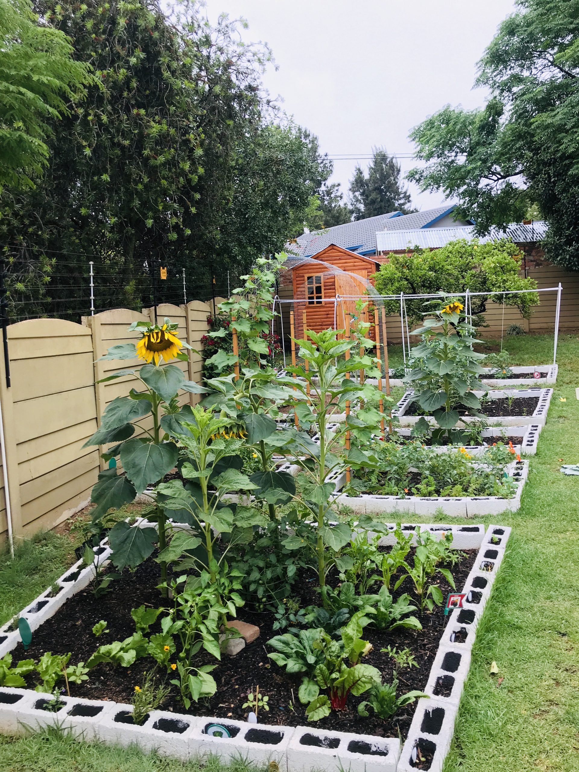 A HOUSE IS NOT A HOME WITHOUT A GARDEN - Sheevolves.world