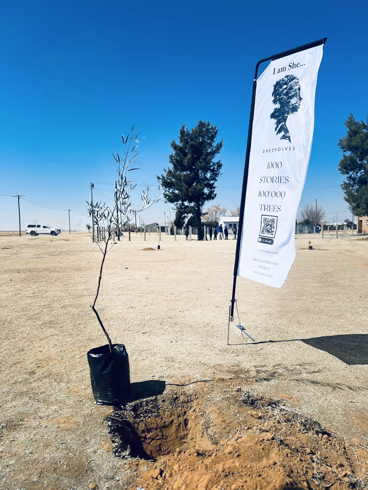 She Evolves Launches "1000 Stories, 100,000 Trees" Initiative ...